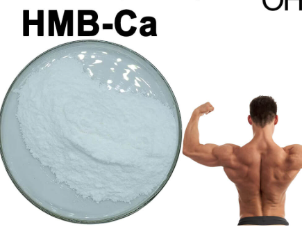 HMB-Ca (β-Hydroxy β-Methylbutyrate Calcium)